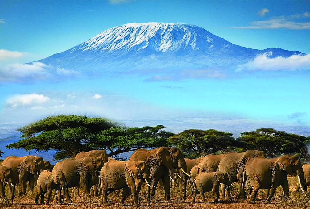 Mengenal The Mount Kenya National Park, Kenya: Taman Nasional dengan ...