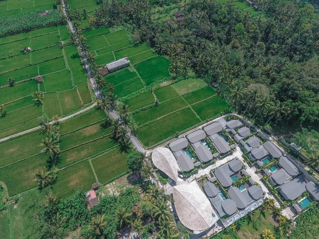 Daun Lebar Villas: Keajaiban Eksklusif di Tengah Keindahan Alam