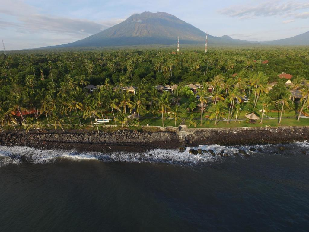 Relax Bali Dive & SPA Resort: Surga Bawah Laut di Bali